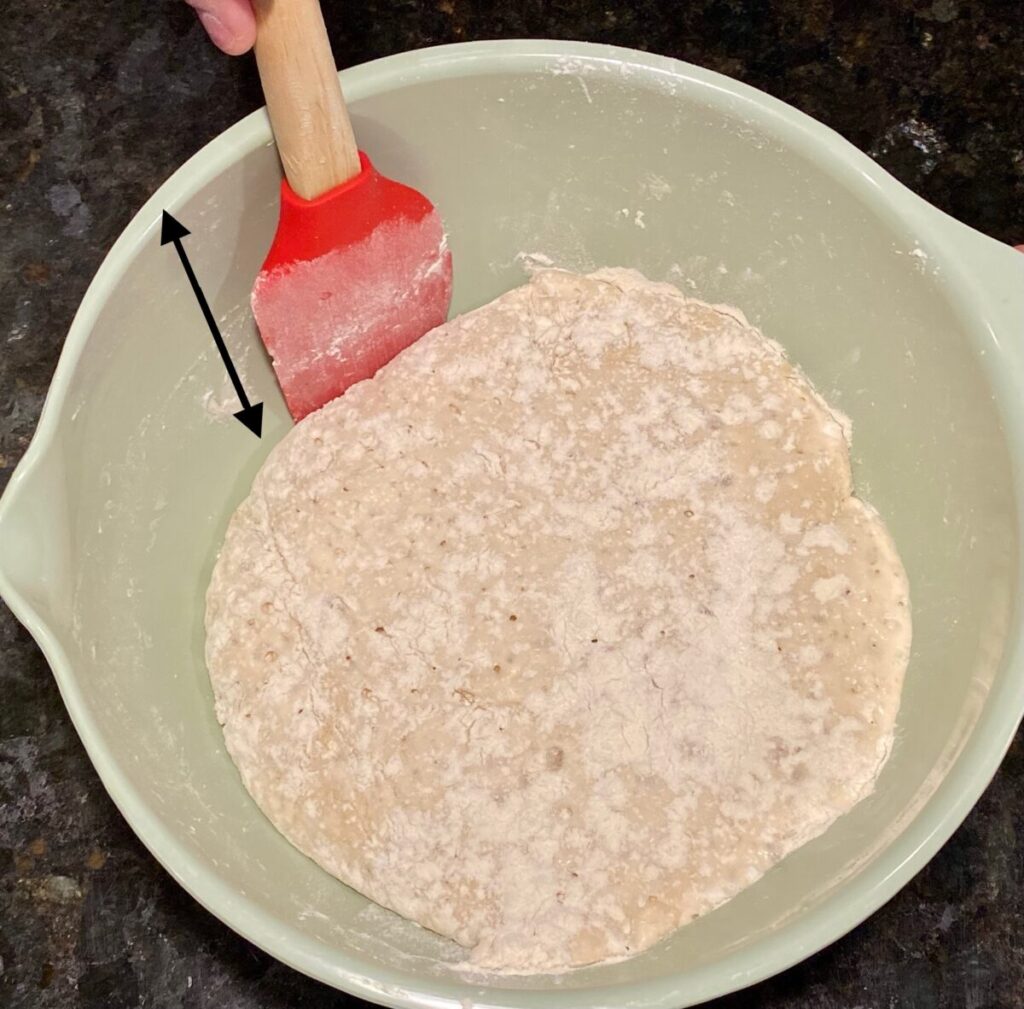 Rustic Bread (no knead) - So simple, anyone can do this!